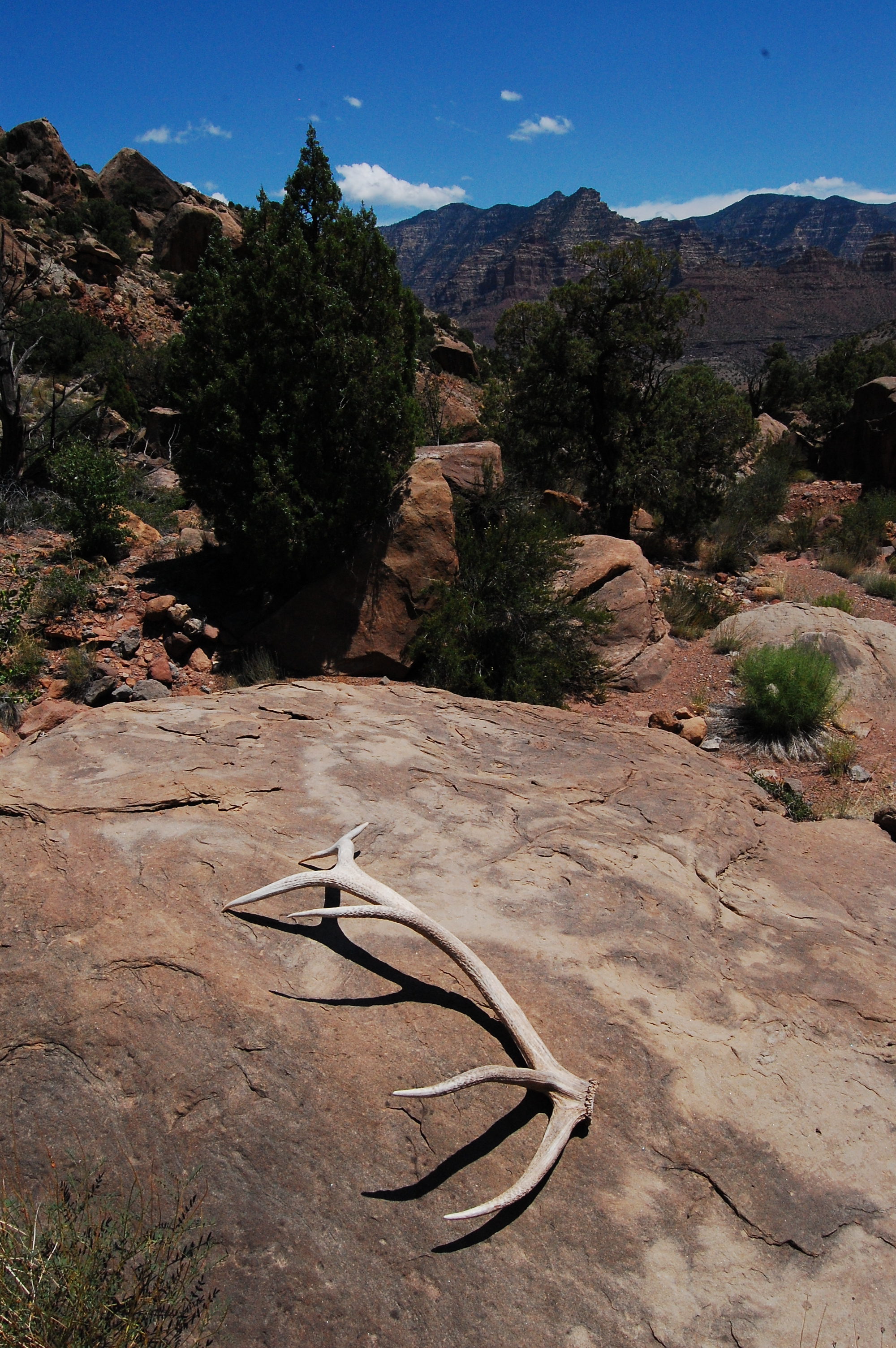Range Creek to Desolation Canyon - via Three Fords Canyon Stock Trail ...